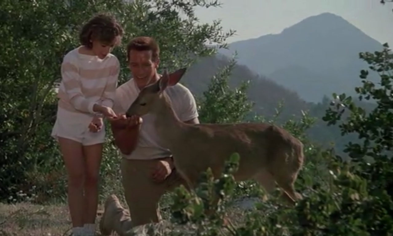 Commando (1985) – Review – We Have Issues