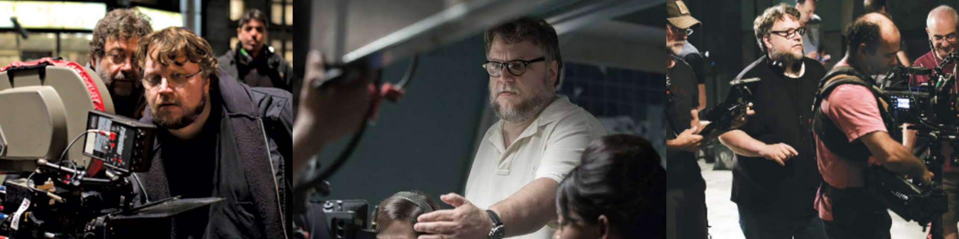 Guillermo del Toro Reviews – We Have Issues